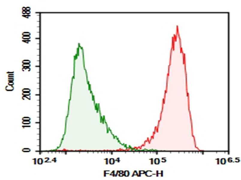 Purified Anti-Mouse F4/80 Antibody[BM8]（AN009650P）-Elabscience伊莱瑞特