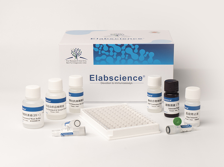 三碘甲状腺原氨酸(T3)酶联免疫吸附测定试剂盒（E-EL-0106）-Elabscience伊莱瑞特