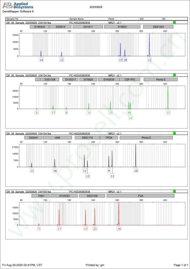 SHP-77（人小细胞肺癌细胞）-细胞系-武汉普诺赛生命科技有限公司
