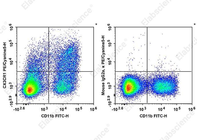 PE/Cyanine 5 Anti-Mouse CX3CR1 Antibody[SA011F11]（AN01022G）-Elabscience伊莱瑞特