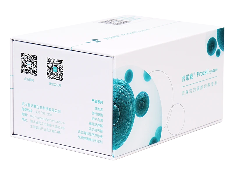 BT-474 [BT474]（人乳腺导管癌细胞）-细胞系-武汉普诺赛生命科技有限公司