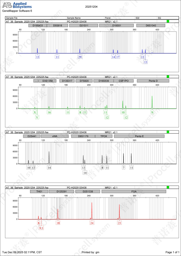 A549-GFP（人肺腺癌细胞（绿色荧光蛋白标记））-细胞系-武汉普诺赛生命科技有限公司