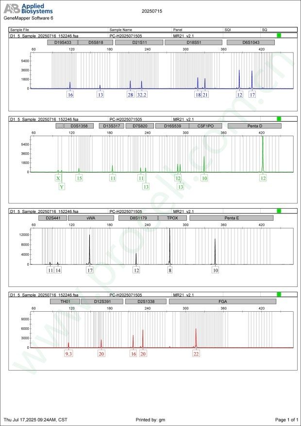 NCI-H2171（人肺癌细胞）-细胞系-武汉普诺赛生命科技有限公司